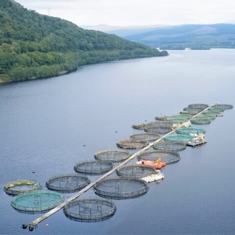 Future of water quality modelling - Video - Australian Water School