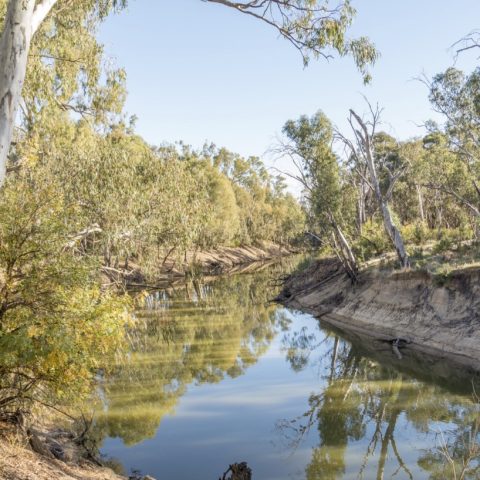 Working with Country to Heal - Video - Australian Water School