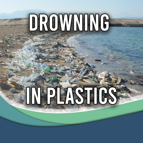 Panel Event: Drowning in plastics - Video - Australian Water School
