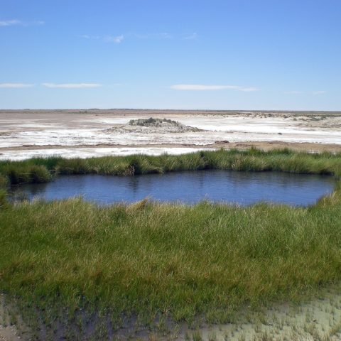 Atlas of Groundwater Dependent Ecosystems - Video - Australian Water School