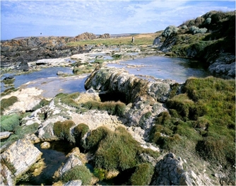 Atlas of Groundwater Dependent Ecosystems - Video - Australian Water School