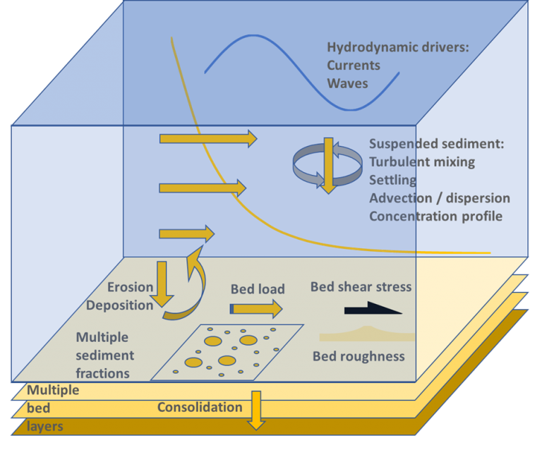 2D and 3D Sediment Transport and Morphological Modelling - Video ...