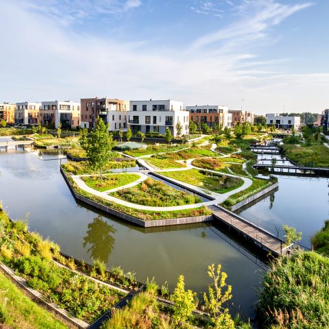 Stormwater Treatment Essentials - Live Training - Australian Water School