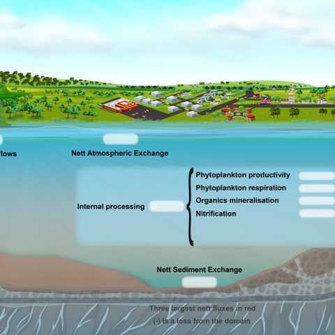 Water quality model validation using mass balance analysis - Video ...