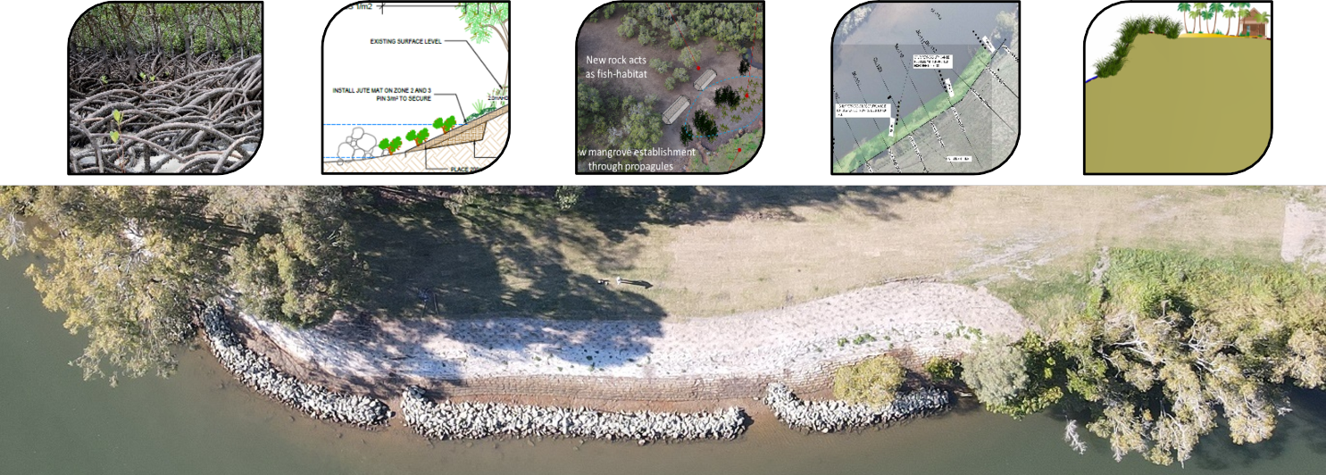 Nature-Based Solutions for Coastal Resilience - On Demand Training ...